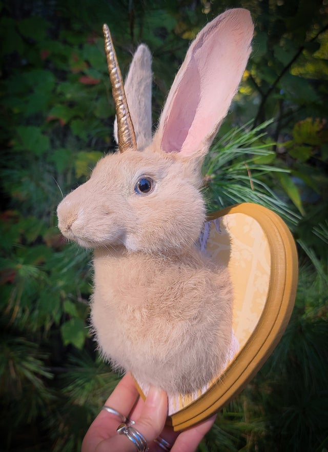 stuffed jackalope head