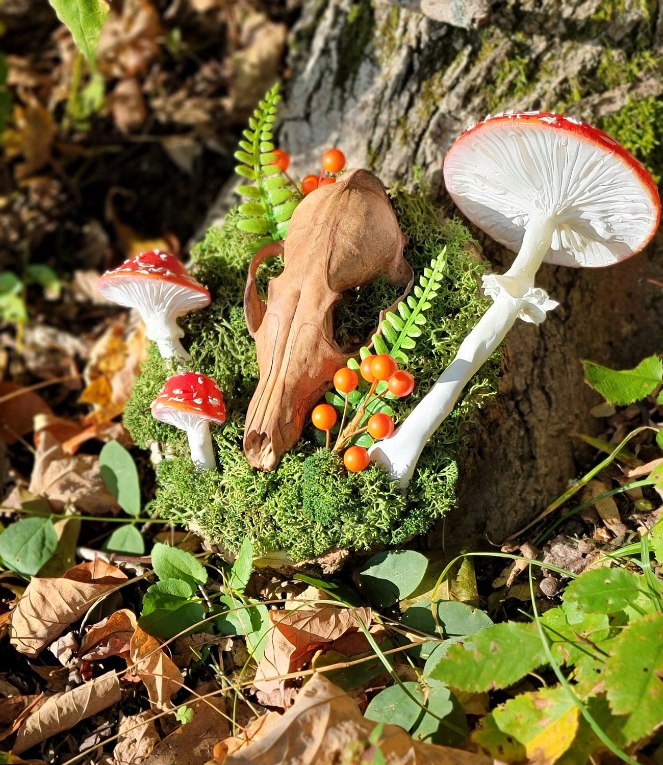 LED mushrooms with real fox skull wall art | Crystal Remains