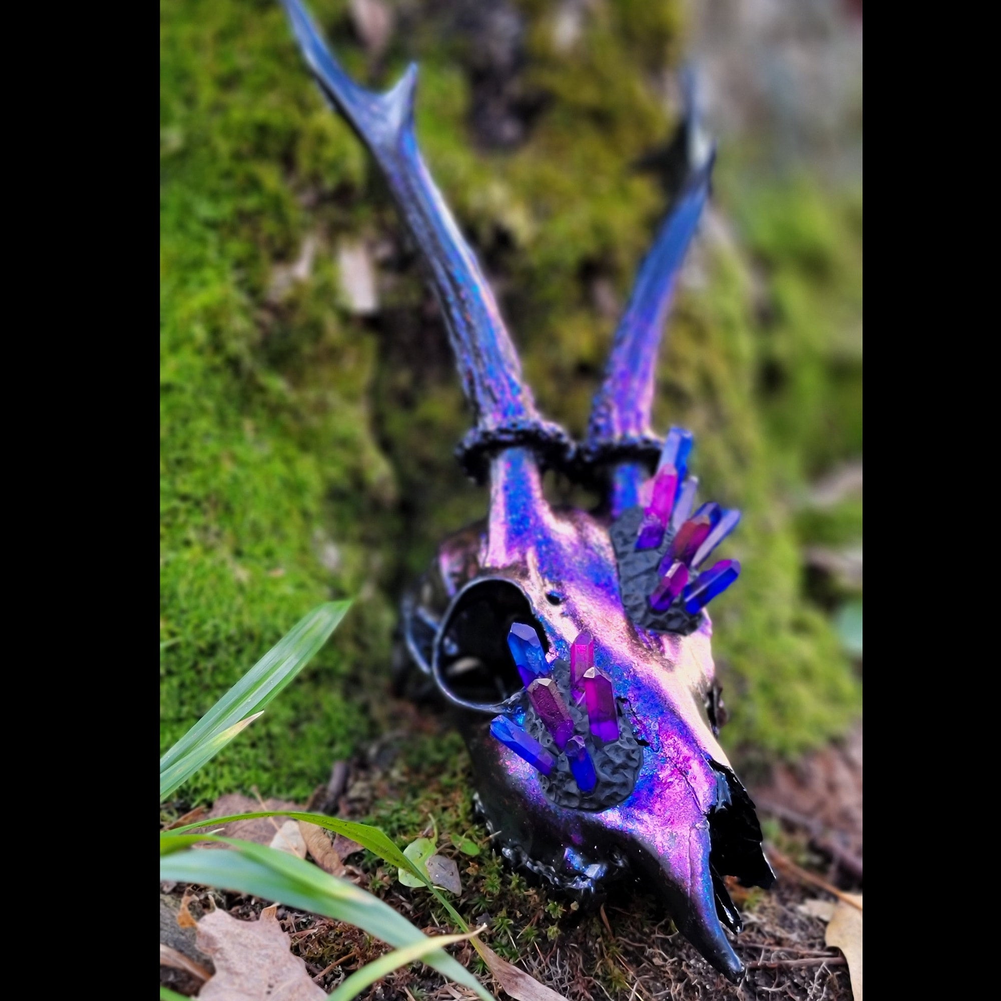 Shop crystal animal bone art | Crystal Remains